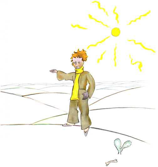 Chapter 17 L3 - The Little Prince in Levels - a book written in ...