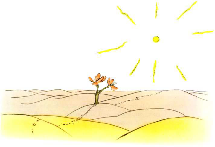 Chapter 18 L2 - The Little Prince in Levels - a book written in ...