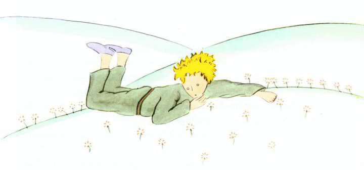 Chapter 18 L1 - The Little Prince in Levels - a book written in ...