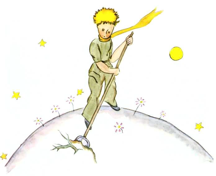 Chapter 6 L3 - The Little Prince in Levels - a book written in ...